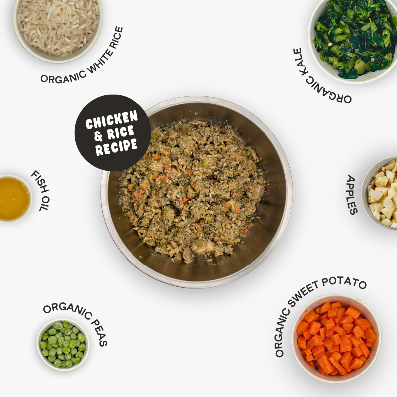 Chicken & Rice Gently Cooked Dog Food – California Dog Kitchen